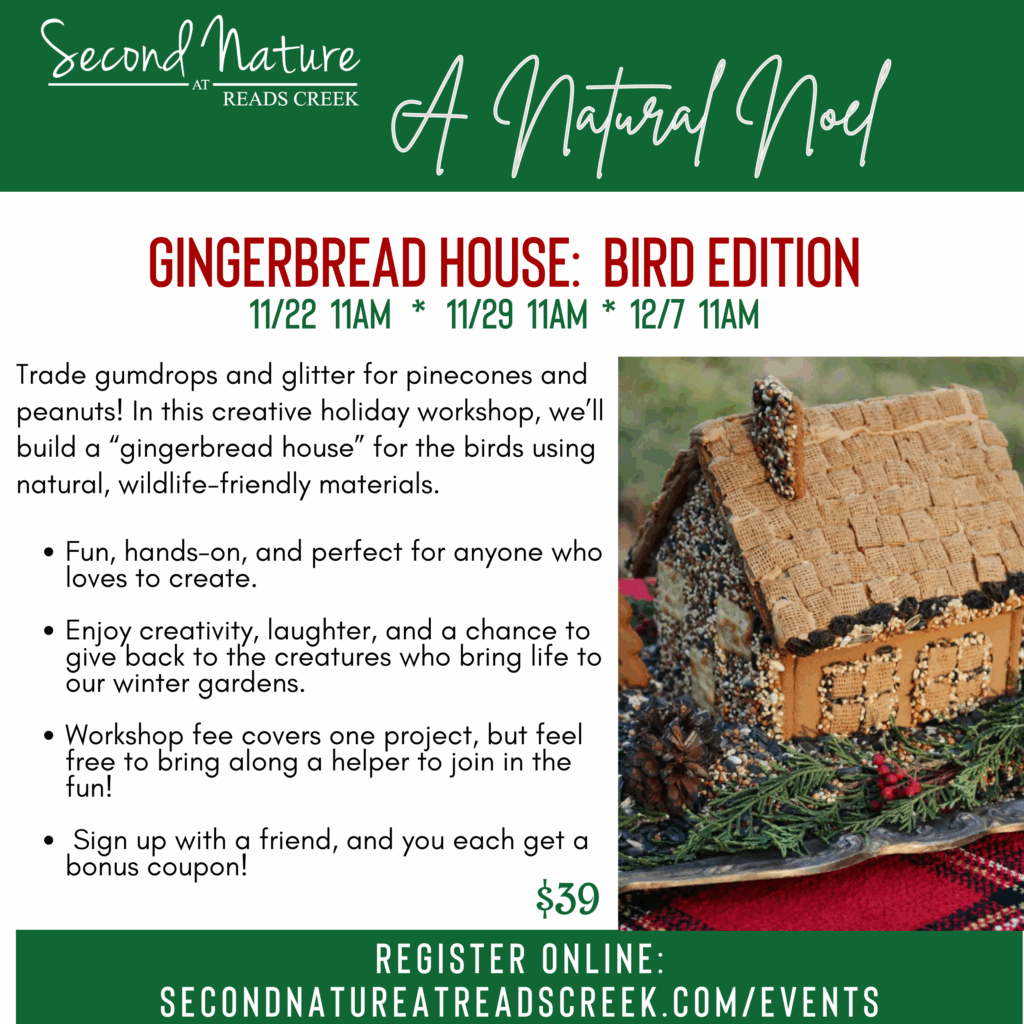 Gingerbread House: Bird Edition - Viroqua Chamber